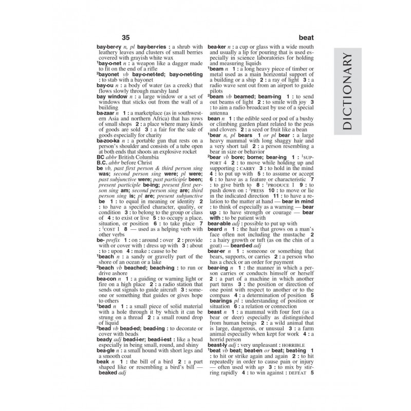 Webster's Dictionary & Thesaurus for Students