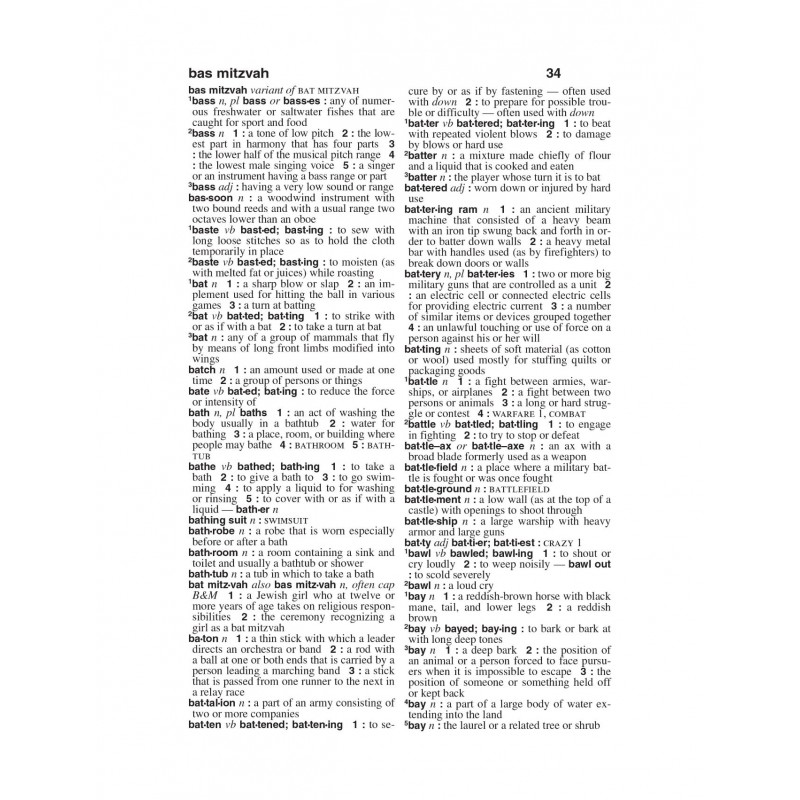 Webster's Dictionary & Thesaurus for Students