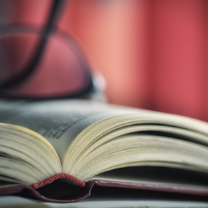 The Dictionary Project Word of the Day: Obviate - The Dictionary Project